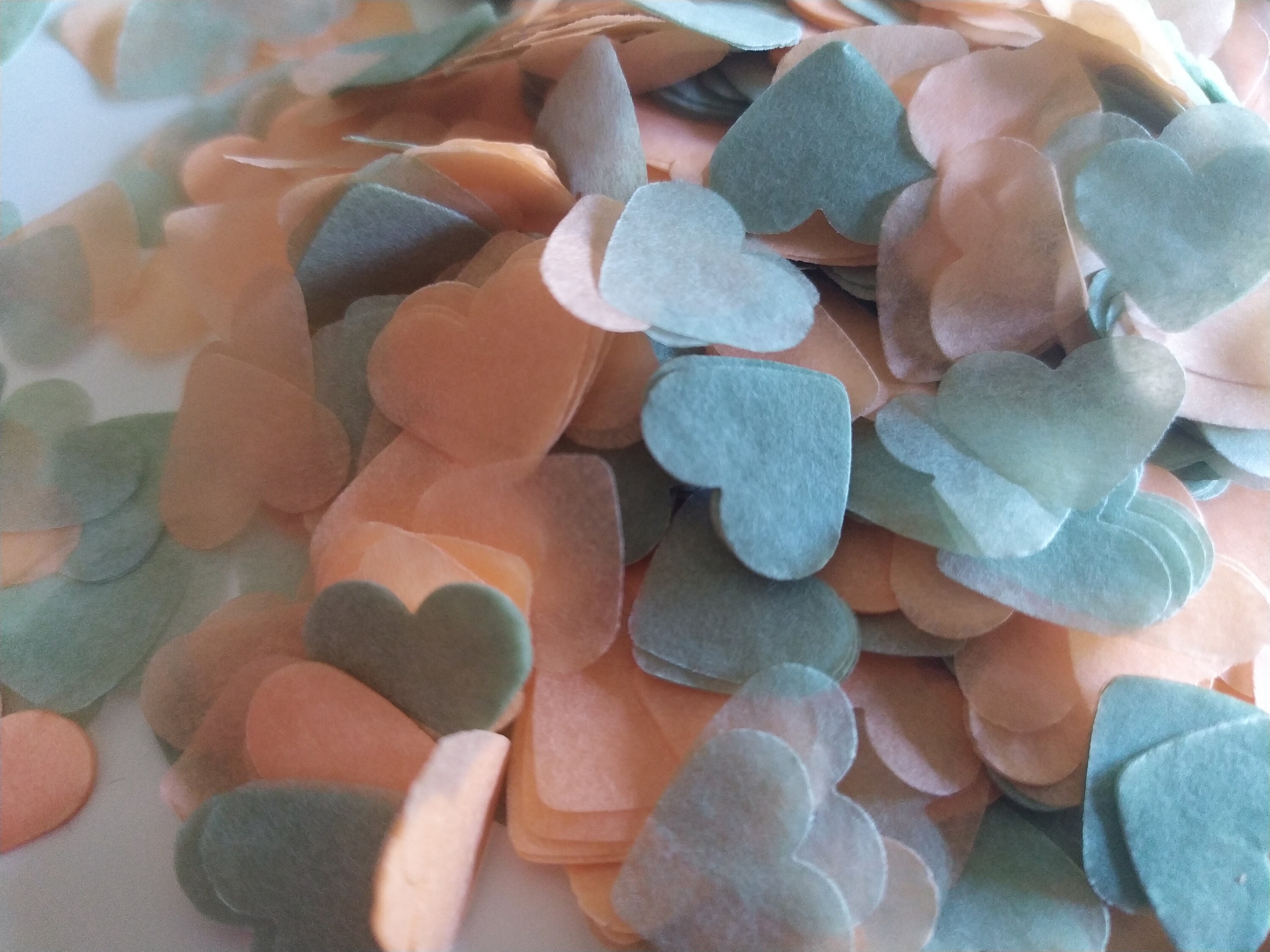 Confetti biodégradable confetti mariage mariage champêtre - Etsy France