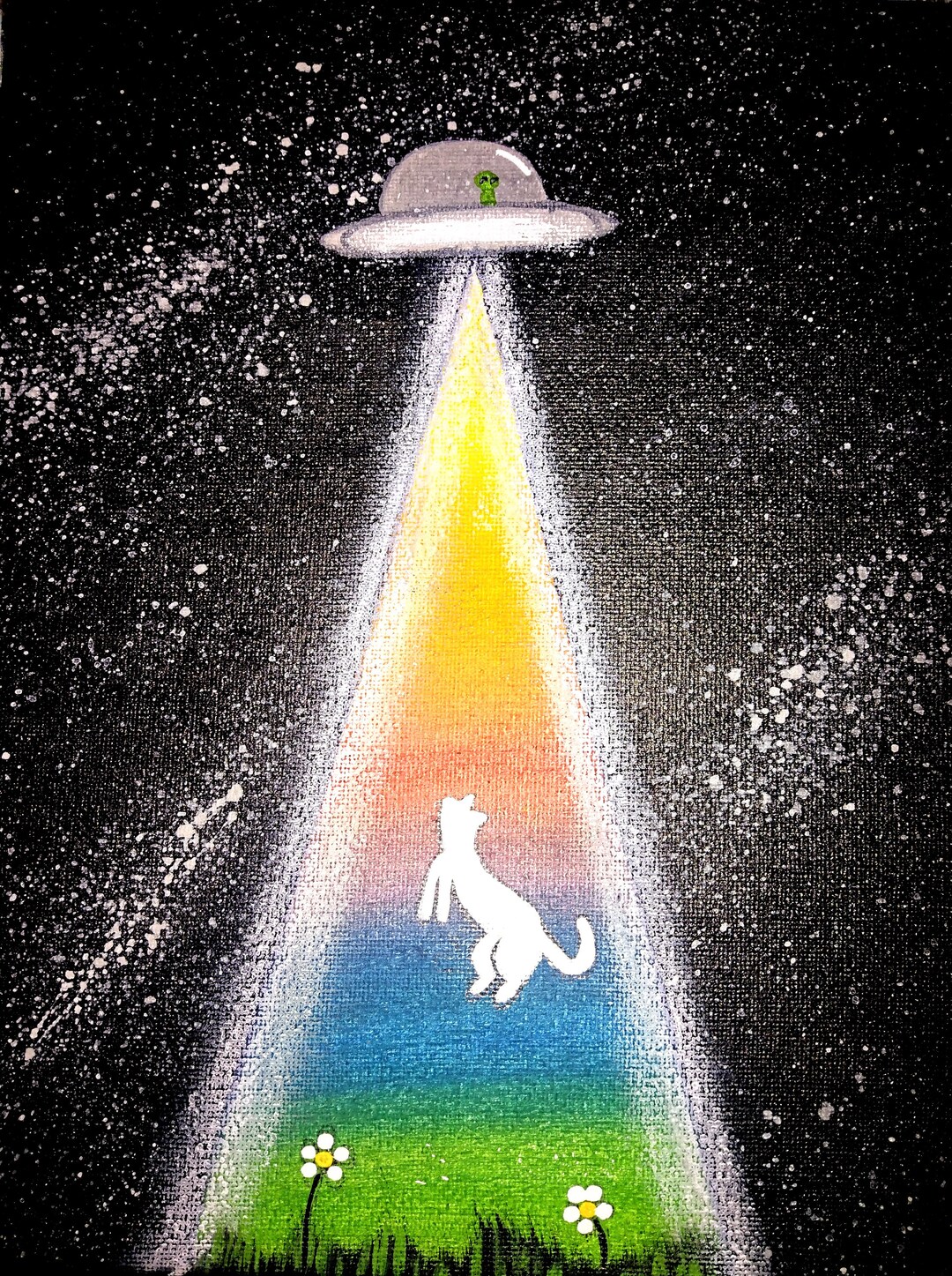 Cat Abduction Original on Canvas - Etsy