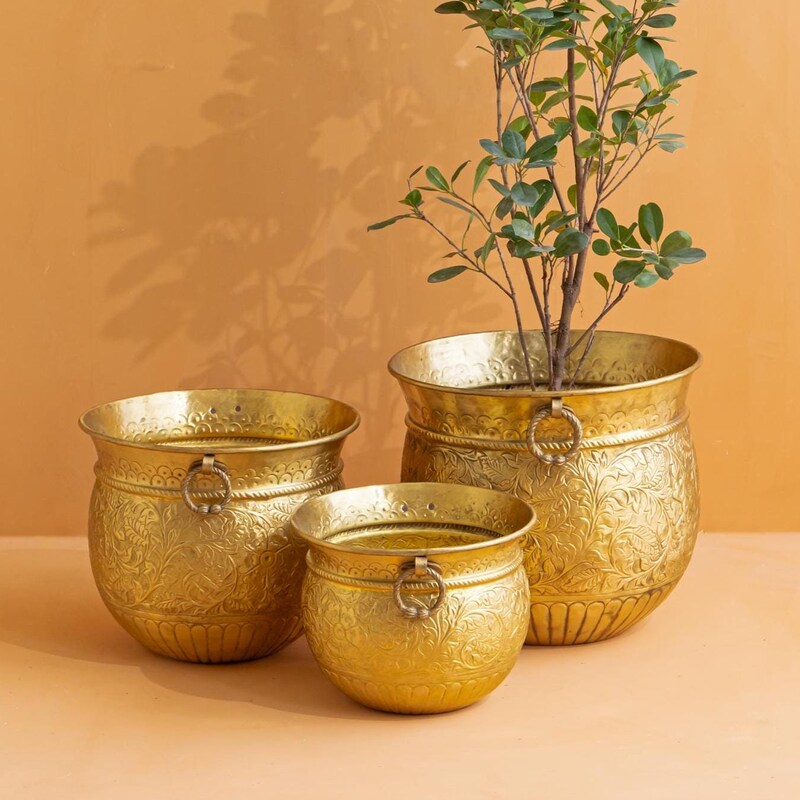 Planter Co Ltd - Etsy New Zealand