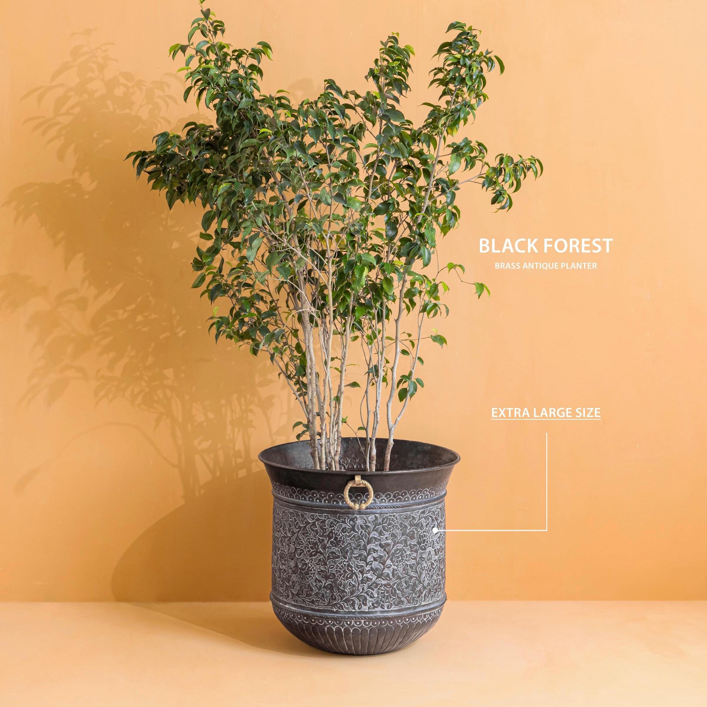 Black Forest extra Large Engraved Tall Brass Planter 46cm Magnificent Centerpiece Brass Metal ...