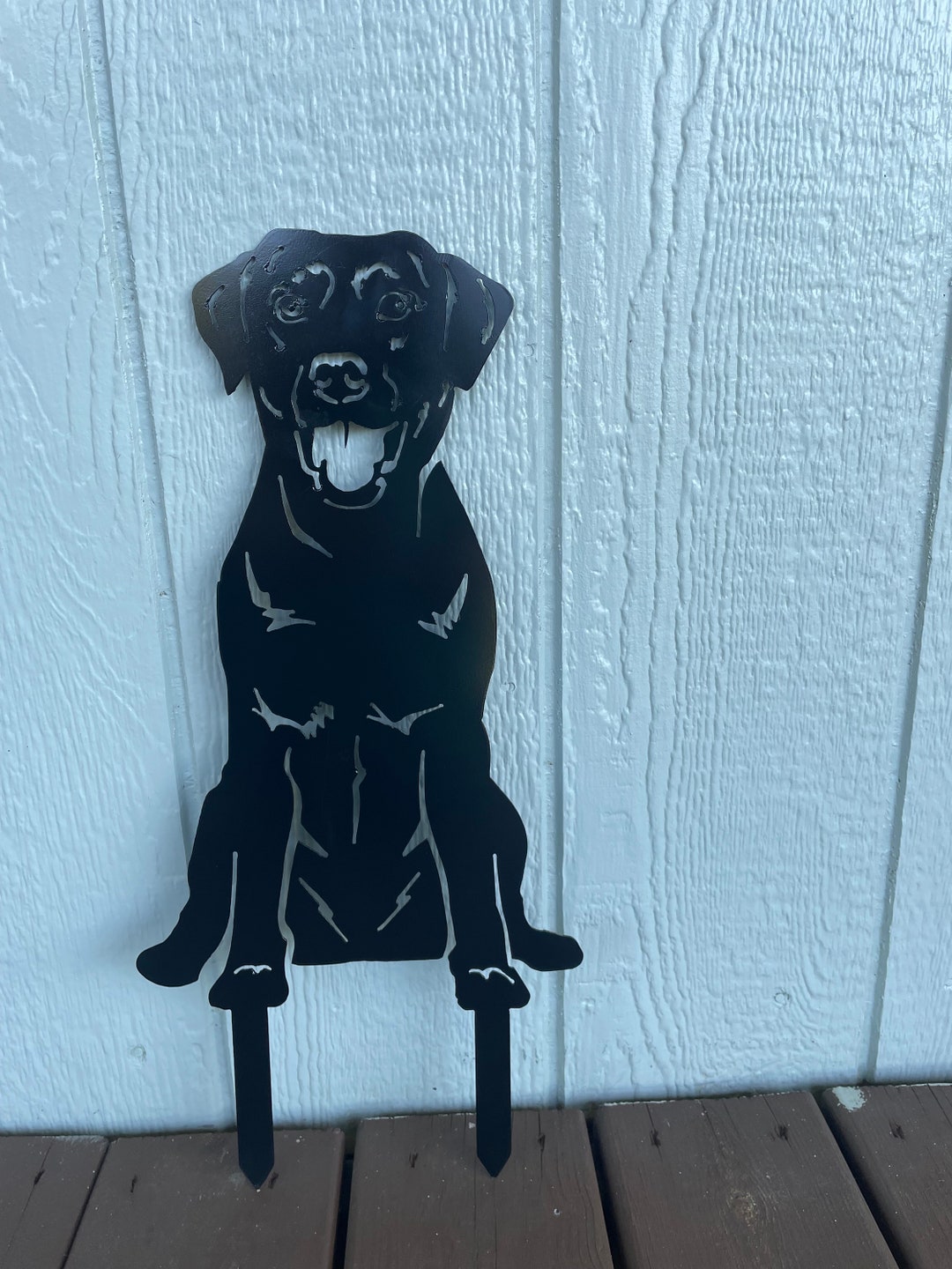 Labrador Retriever, Lab, Golden Retriever, Chocolate Lab, Rusty Lab ...