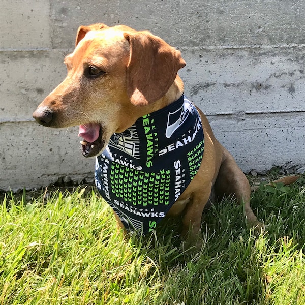 Seahawks Scarf - Etsy