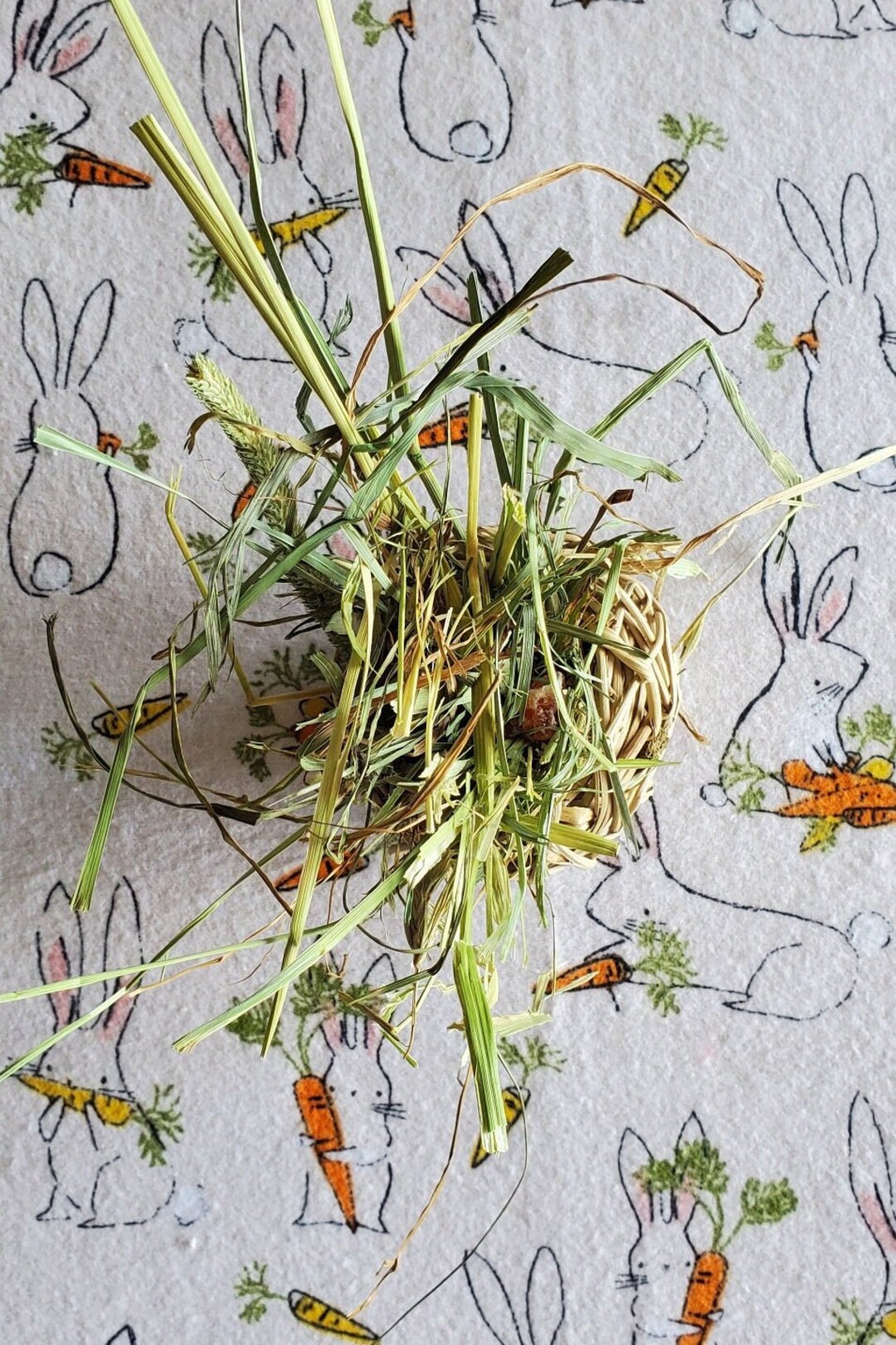Willow Forage Hay Ball, Rabbit Enrichment Toy, Includes Hay Blend ...