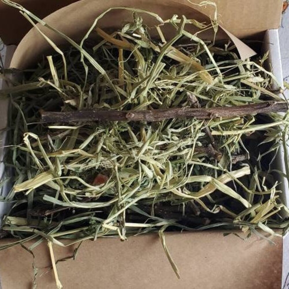 LilysBunnyTreats - Etsy