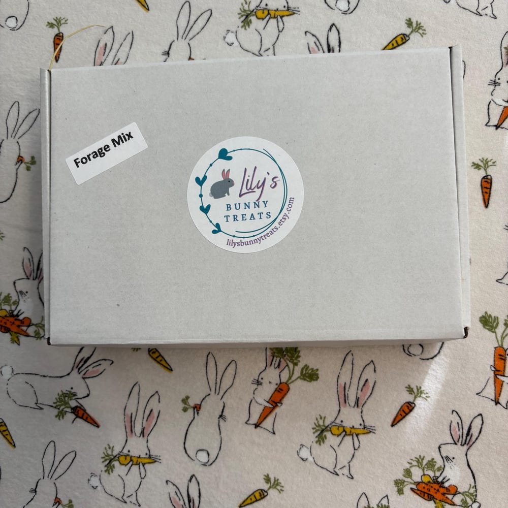 LilysBunnyTreats - Etsy