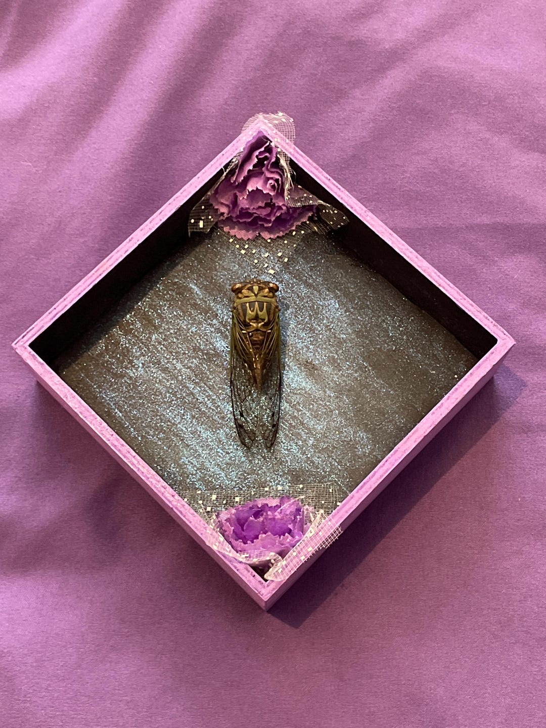 Pinned Cicada Specimen Purple Shadow Box Floral Wall Decor Hanging ...