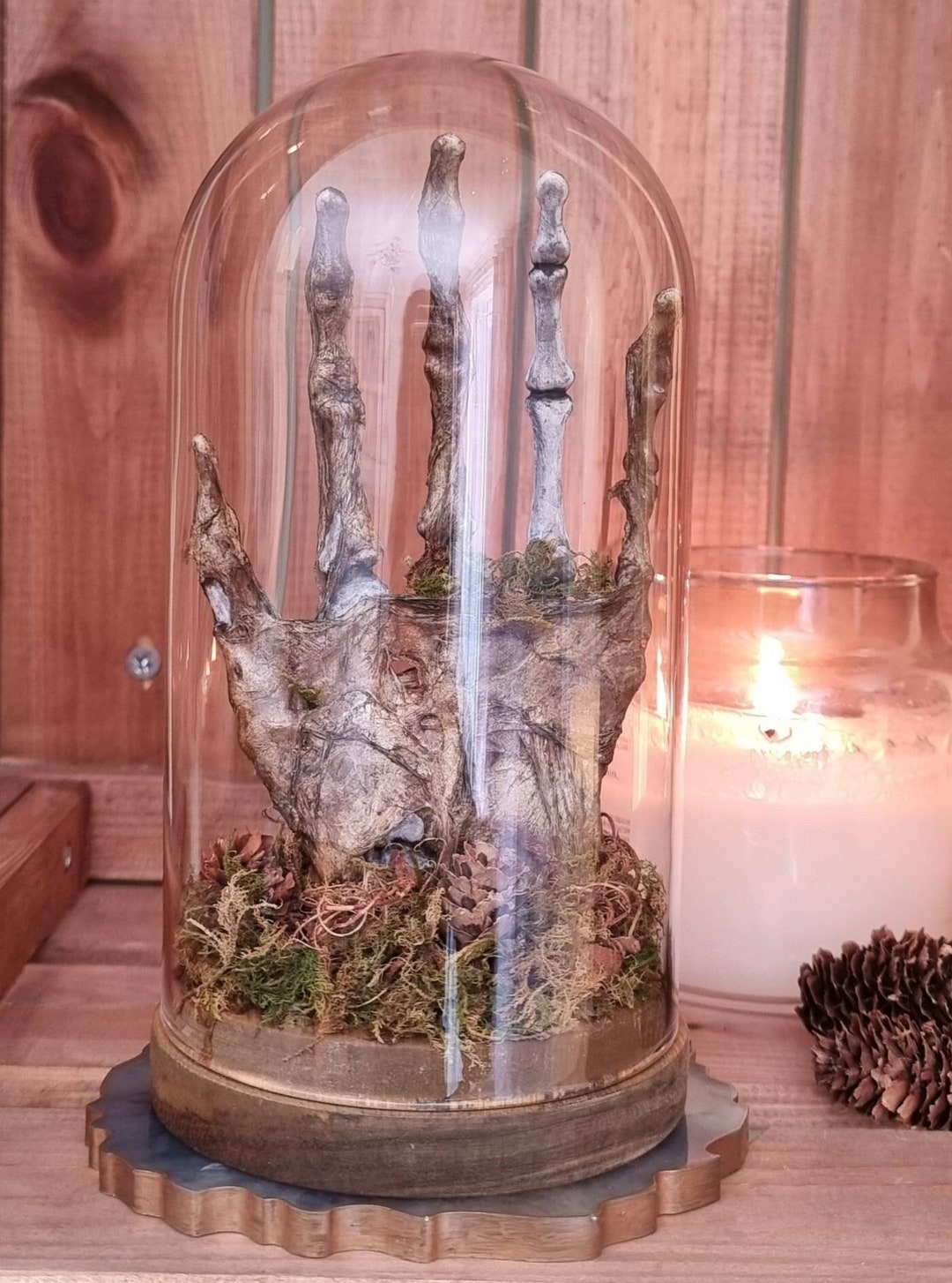 Spooky Mummified Hand Cloche Jar - Etsy