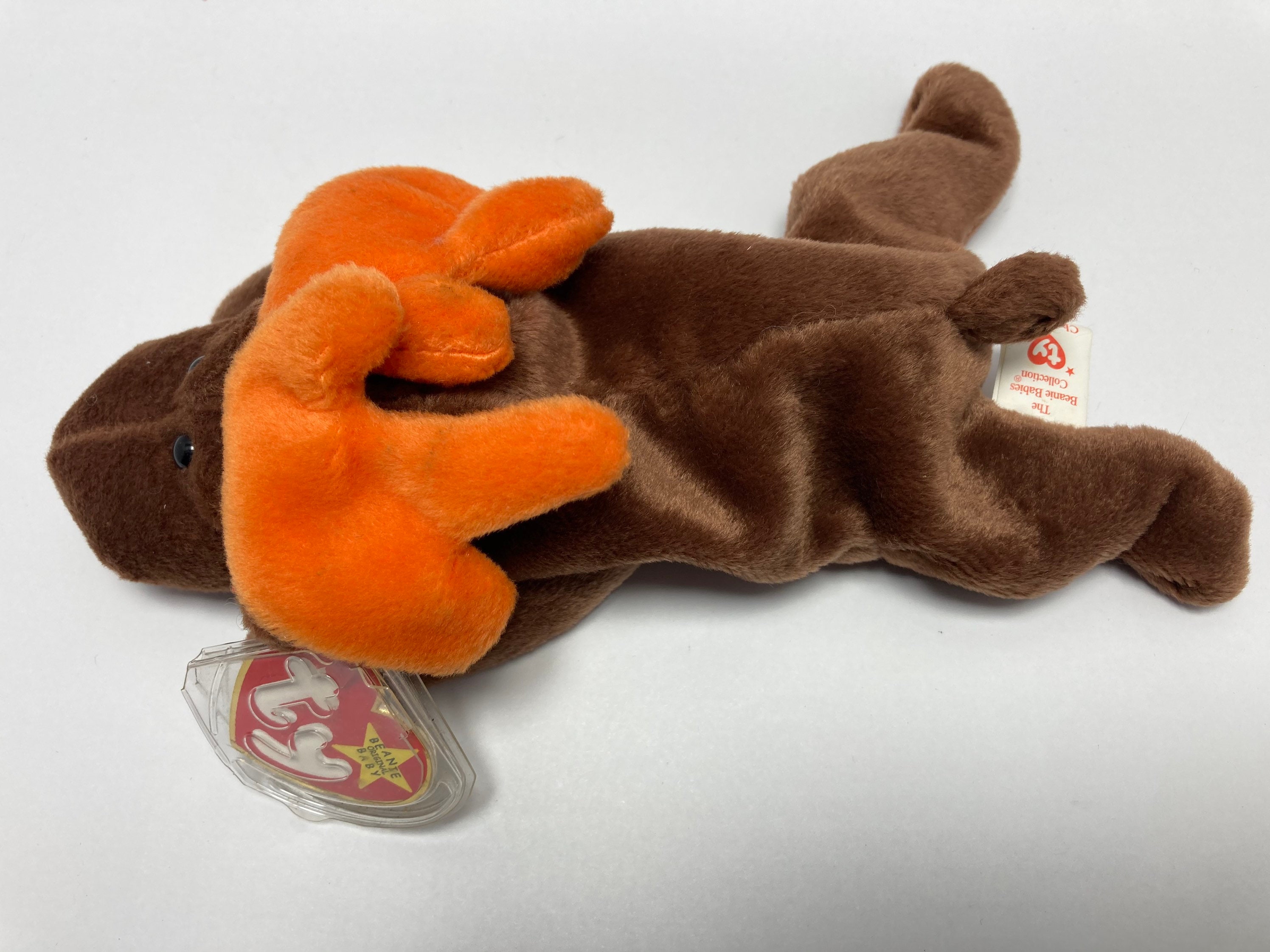 TY Beanie Baby the Original 9 Chocolate the Moose RETIRED RARE - Etsy