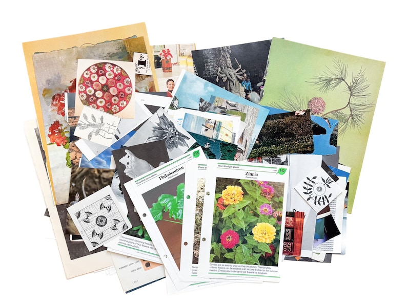 100+ Piece Vintage Ephemera Collage Paper Pack: Vintage National ...