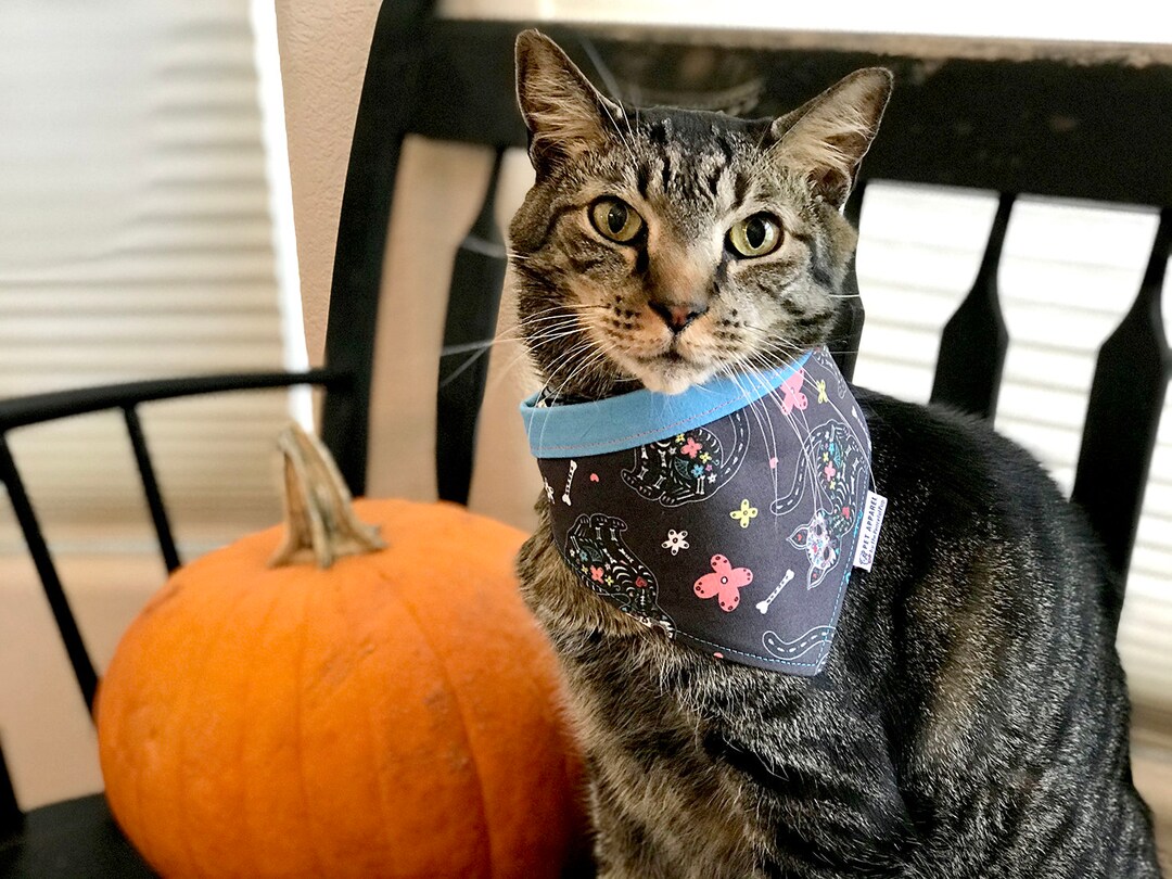 Calavera Cat Halloween Dia De Los Muertos Reversible Cat or Dog Bandana ...