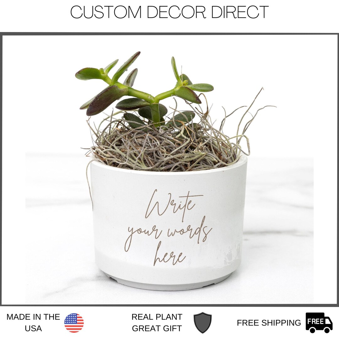 Personalized Desk Plant, Mini Succulent Gift, Custom Desk Plant, Live ...