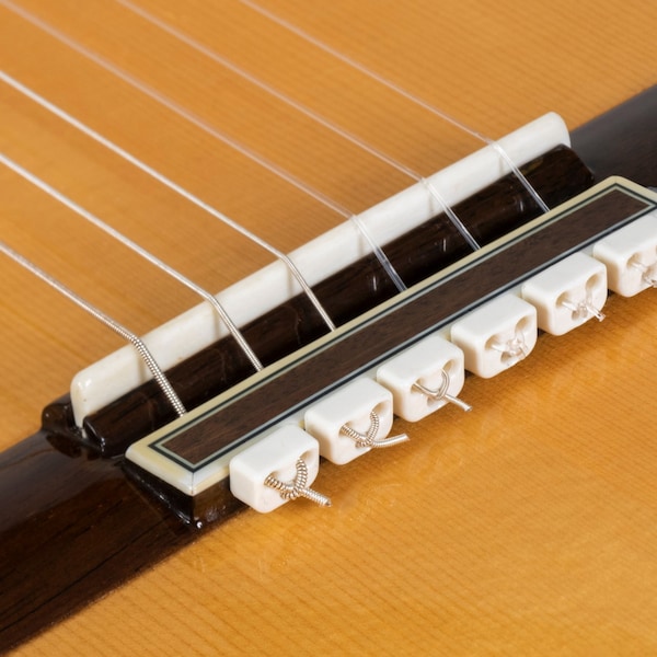 Nylon String Mandolins - Etsy