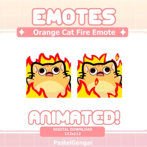 Animated Orange Cat Emote Cute Cat Headpat Emote for Twitch, Discord ...