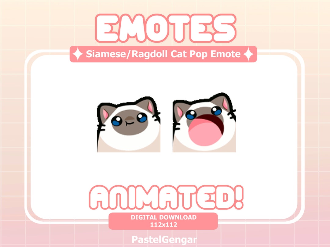 Animated Siamese/ragdoll Cat Pop Emote: Twitch Streamers, Discord ...