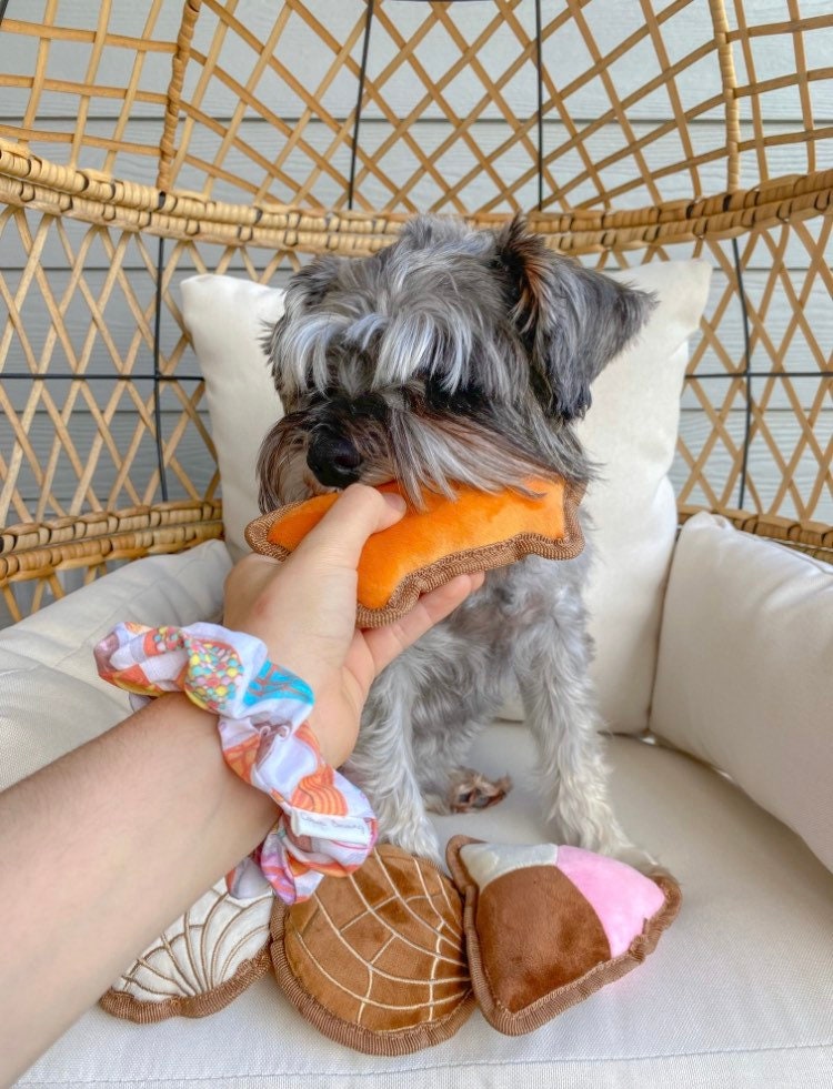 Concha Dog Squeaky Toy, Concha Toy, Mexican Sweet Bread Toy ...