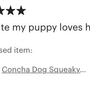 Concha Dog Squeaky Toy, Concha Toy, Mexican Sweet Bread Toy ...