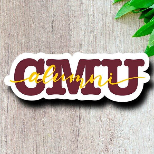 Fire up Chips - Etsy