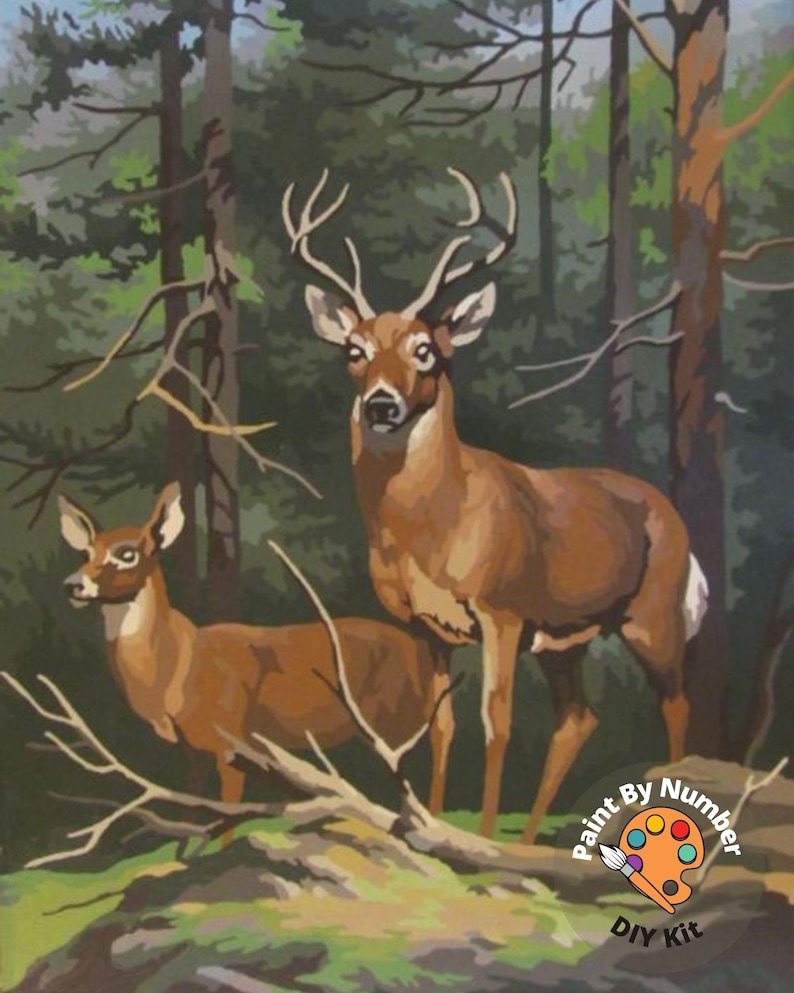 Forest Deer PAINT by NUMBER Kit Adult , Kitschy Vintage Style DIY ...
