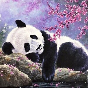 Paint by Numbers DIY Panda Kit for Kids & Adults ,baby Panda Cherry ...