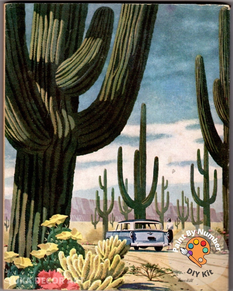 Desert Landscape PAINT by NUMBER Kit Cactus Flowers Sunset - Etsy