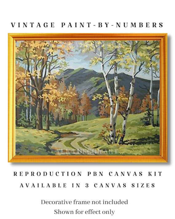Scenic Mountain PAINT by NUMBER Kit Adult Forest Nature - Etsy