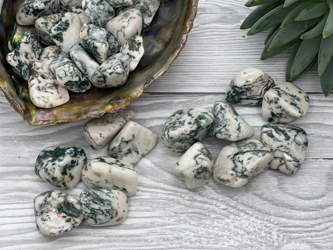 Tree Agate Tumbled Stone - Etsy