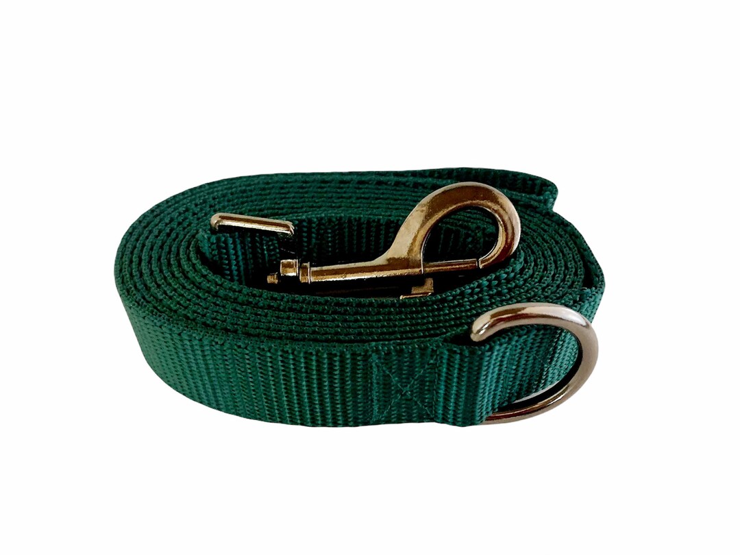Heavy Duty Hunter Green Nylon Webbing Dog Leash With Gunmetal Hook - Etsy