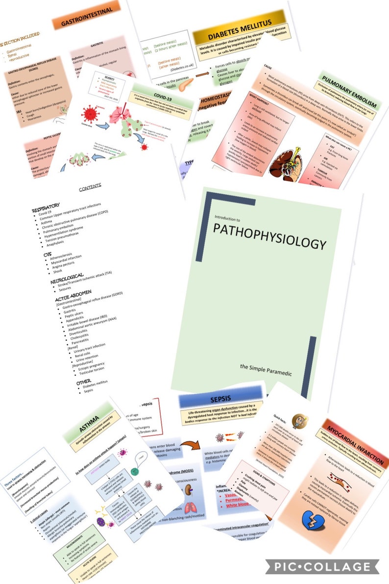 PATHOPHYSIOLOGY NOTES Printable - DIGITAL Note Papers - University ...