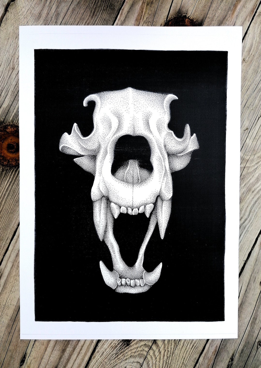 Illustration Format A3 Bear Skull - Etsy