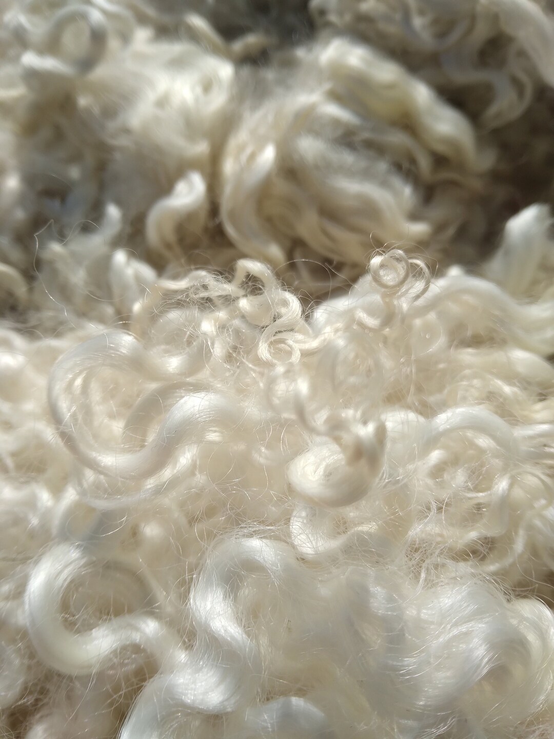 Wensleydale Lambswool Curls, 2-5 Inches Long - Etsy UK