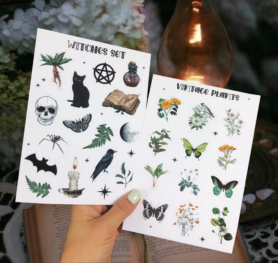 Witch Sticker Pack Witchcraft Stickers Occult Sticker Pack - Etsy