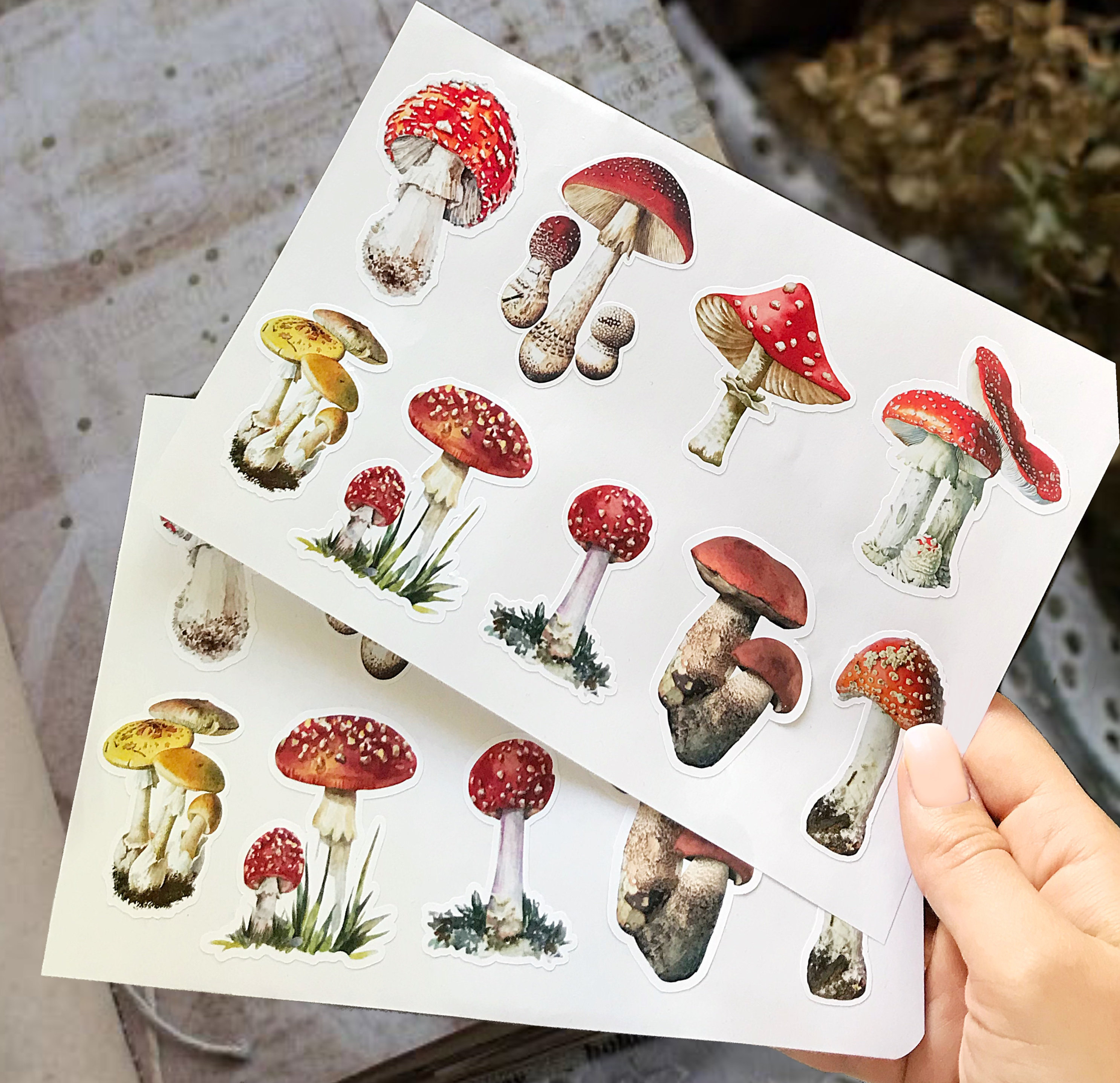 Juego de pegatinas de hongos Pegatinas Goblincore Paquete de - Etsy España