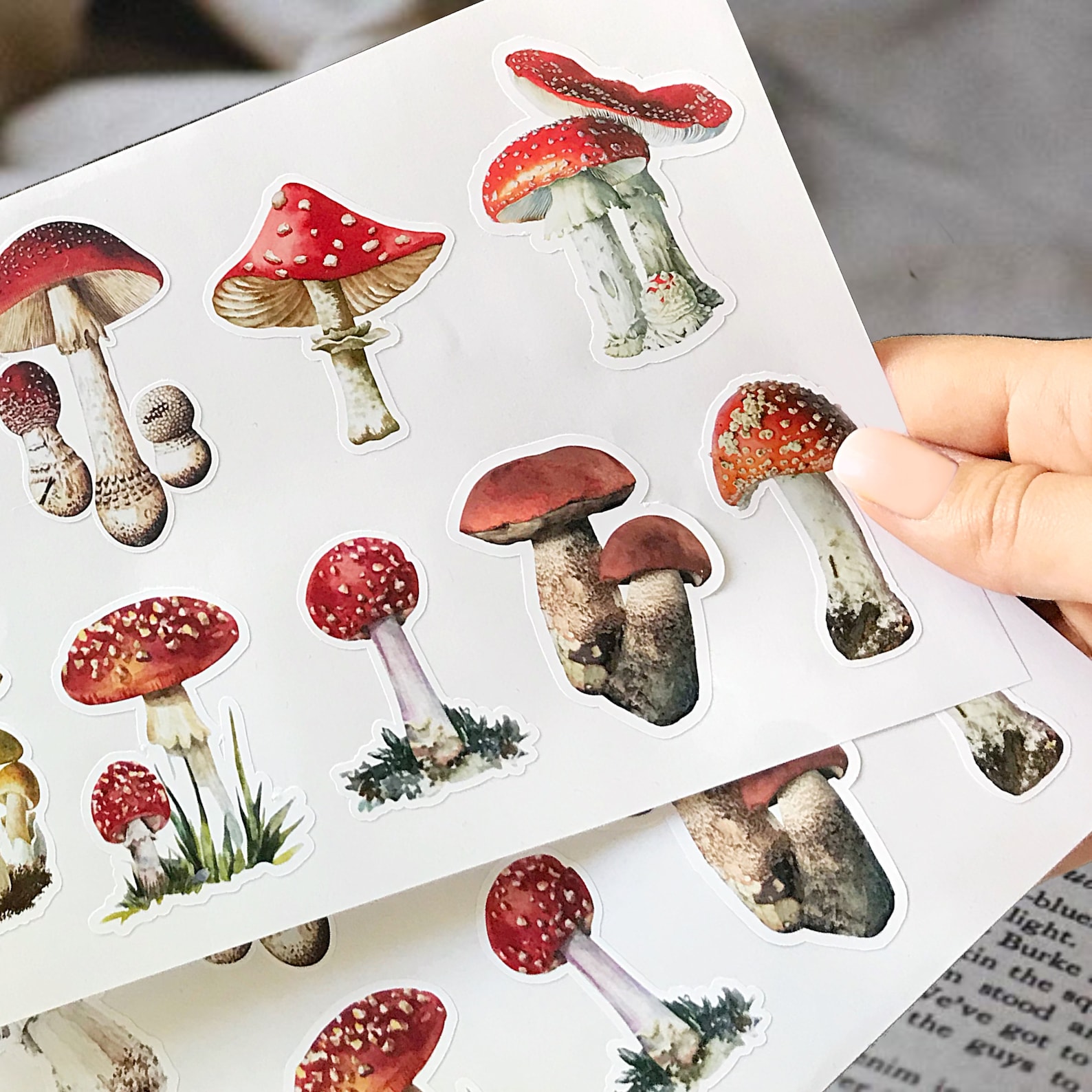 Juego de pegatinas de hongos Pegatinas Goblincore Paquete de - Etsy España