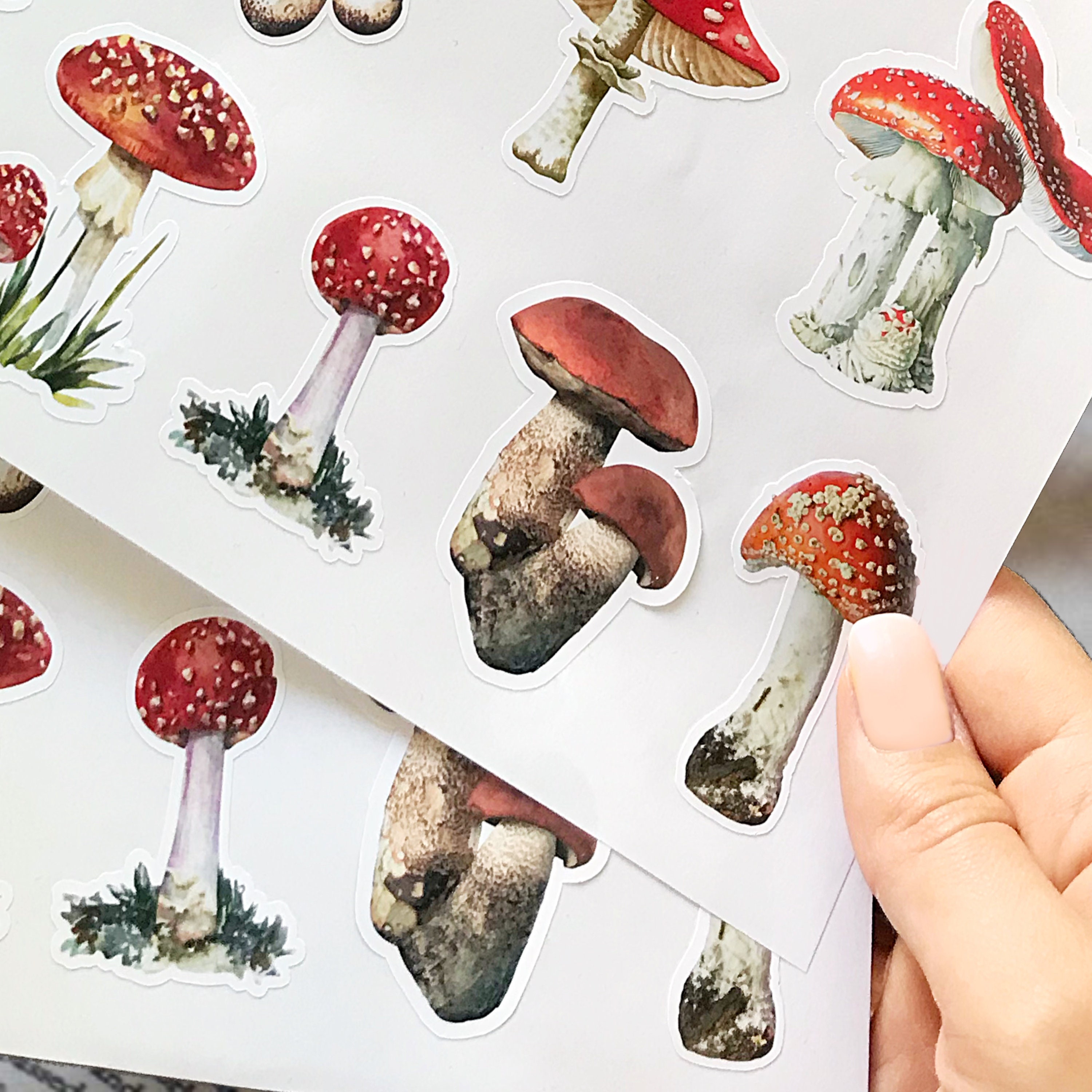 Juego de pegatinas de hongos Pegatinas Goblincore Paquete de - Etsy España