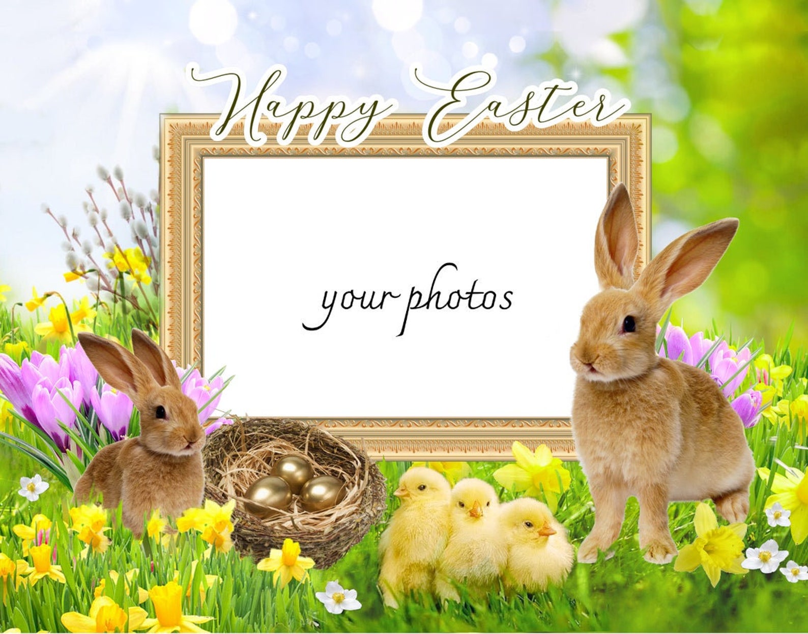Easter Backdrop for Photoshop Easter Bunny Digital Frame - Etsy