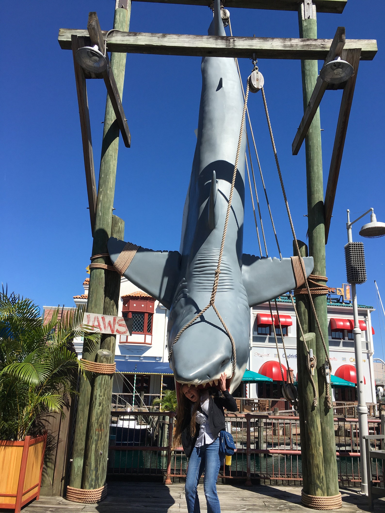 Universal Studios Orlando Scavenger Hunt, Family Trip Activity (digital ...