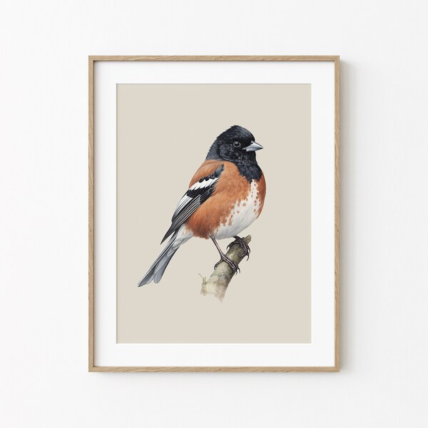 Towhee - Etsy