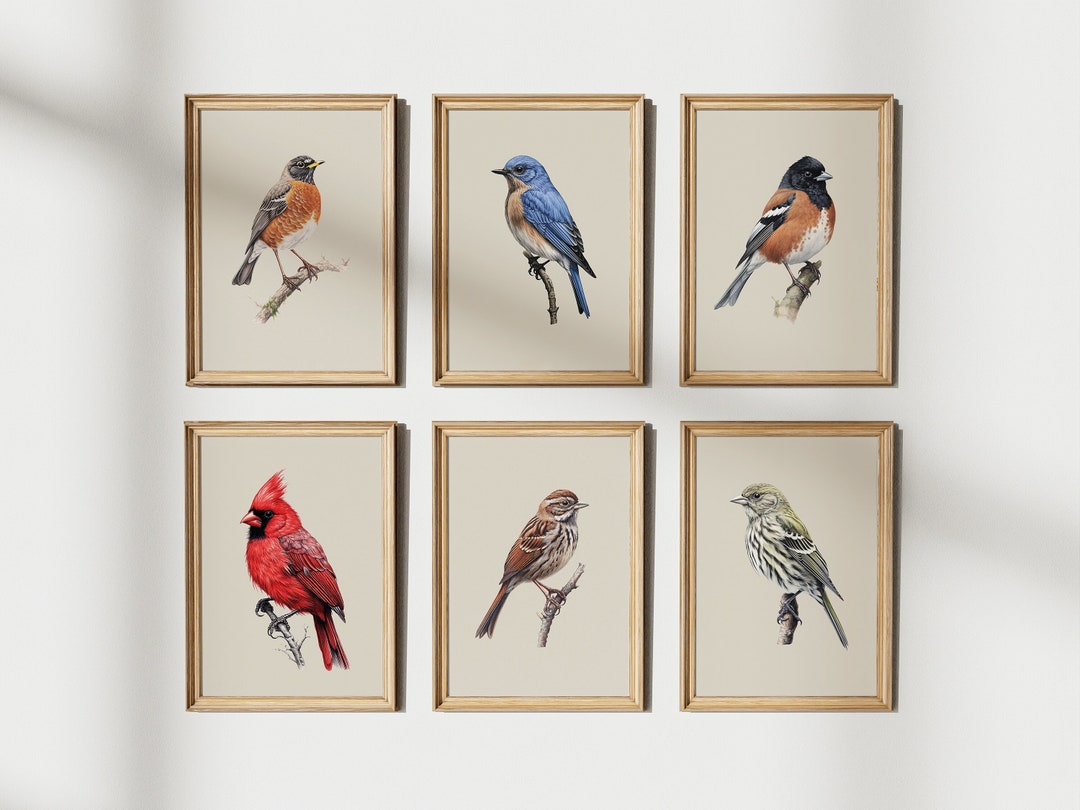 Bird Print Set of 6, Garden Bird Print Bundle, Mini Bird Art Prints ...
