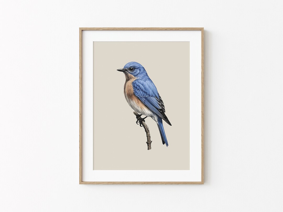 Eastern Bluebird Print, Minimal Animal Digital Printable Art, Singer ...