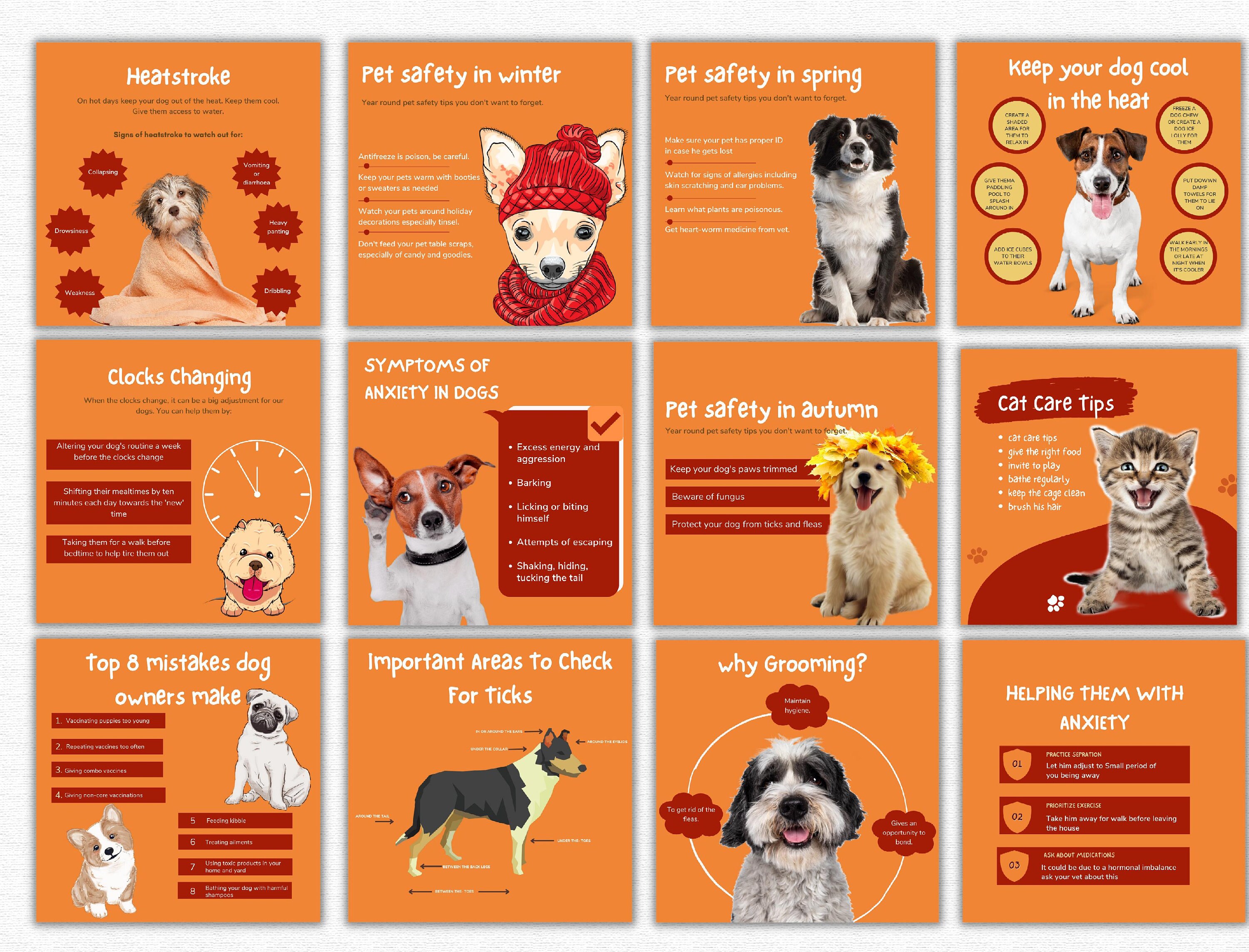 NEW LAUNCH ! Pets Template Bundle, Pets Business Template Kit, Canva ...