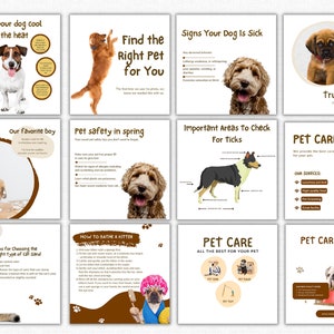 125 Pets Template Bundle, Pets Business Template Kit, Canva Template ...
