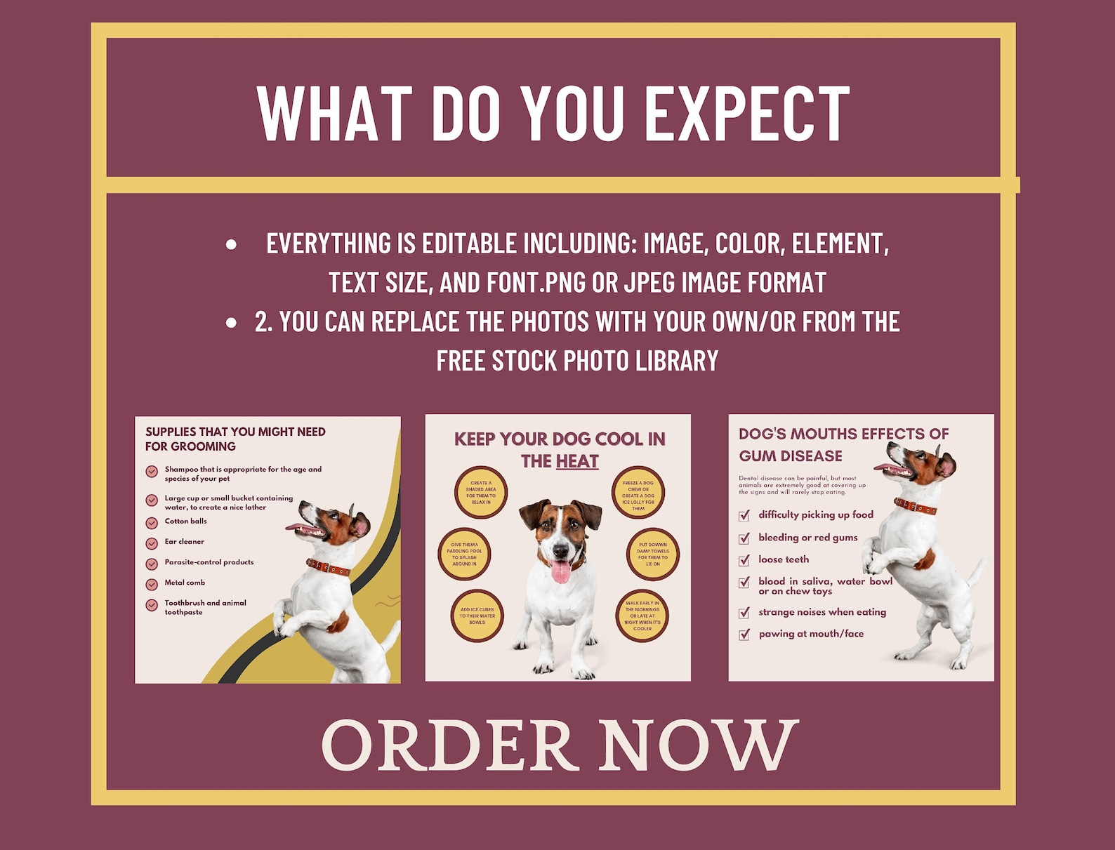 Pets Care Tips Instagram Templates | Pet Grooming Infographics (canva ...