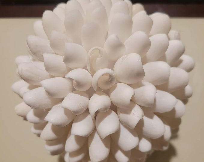 Sea Shell Ball, Table Décor, Shell Ball, Beach Décor, Sea Shell Sphere ...