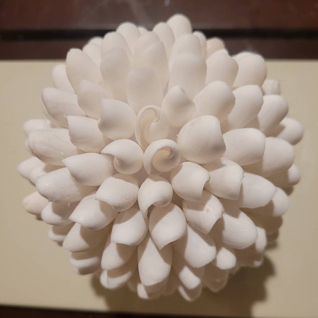 Sea Shell Ball, Table Décor, Shell Ball, Beach Décor, Sea Shell Sphere ...