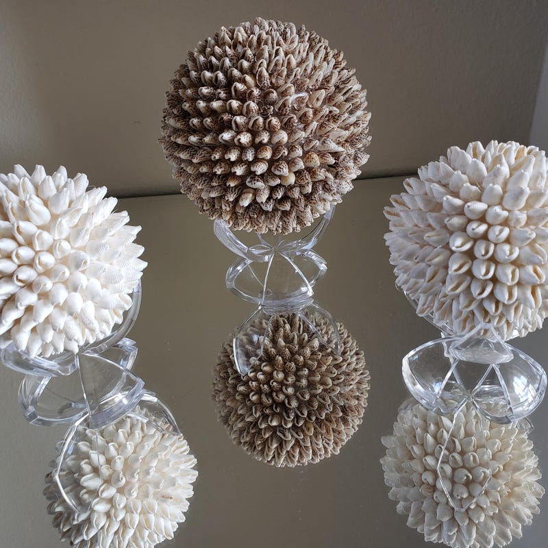 Oyster Shell Ball - Etsy