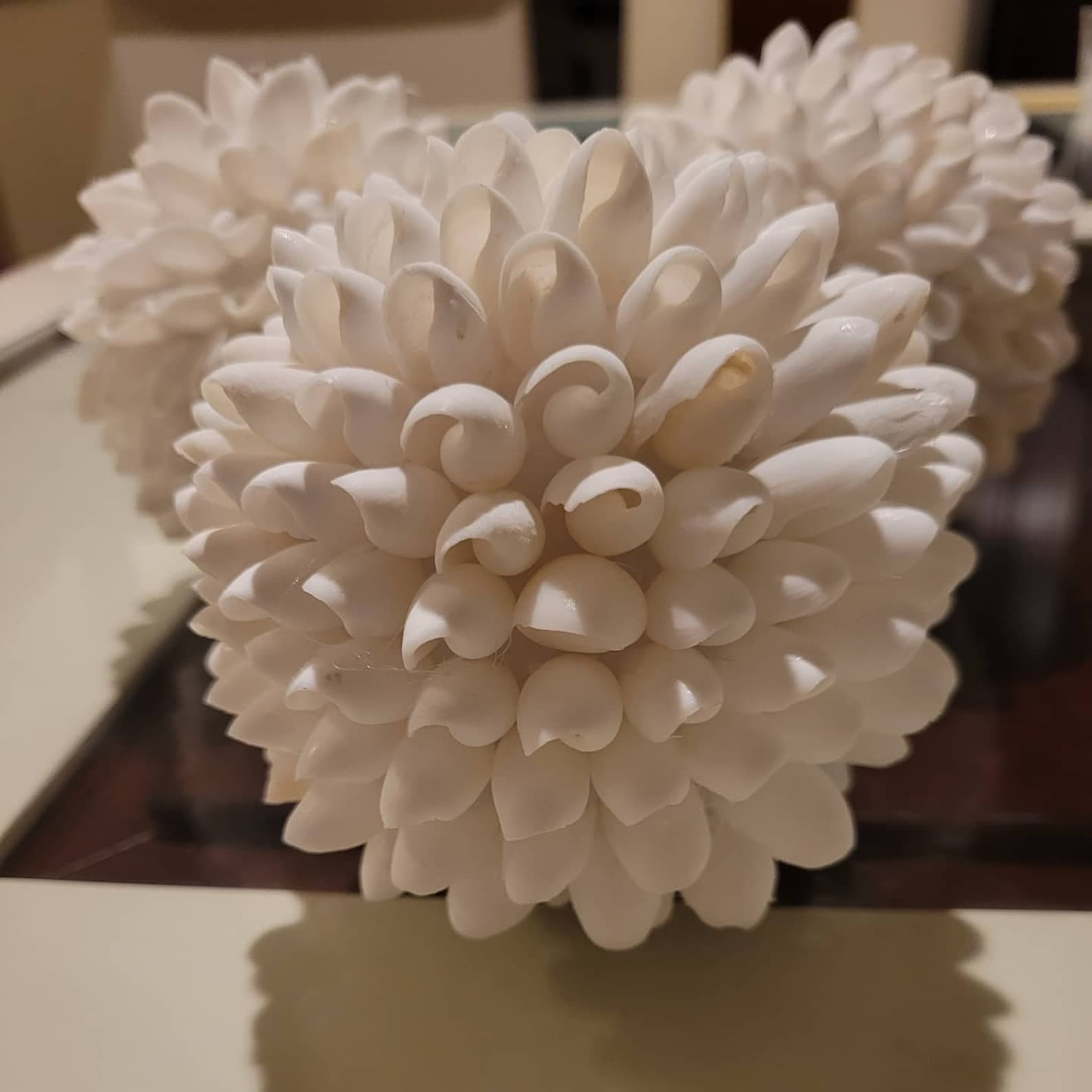 Sea Shell Ball, Table Décor, Shell Ball, Beach Décor, Sea Shell Sphere ...