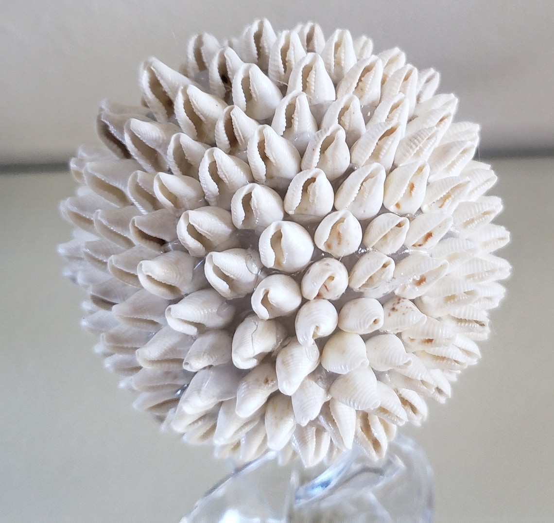 Sea Shell Ball, Table Décor, Shell Ball, Beach Décor, Sea Shell Sphere ...