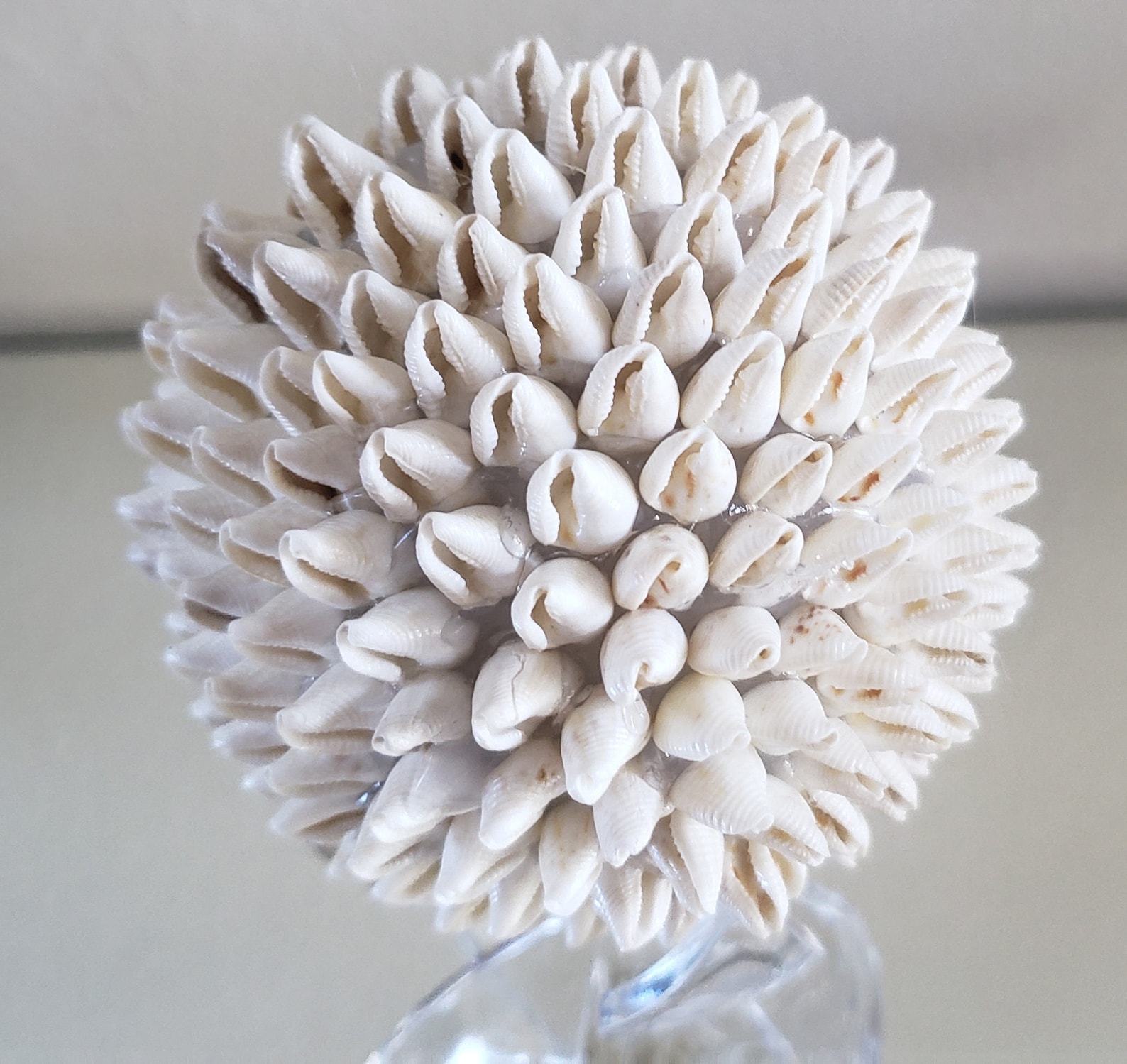 Sea Shell Ball, Table Décor, Shell Ball, Beach Décor, Sea Shell Sphere ...