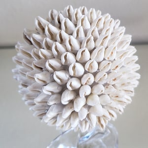 Sea Shell Ball, Table Décor, Shell Ball, Beach Décor, Sea Shell Sphere ...