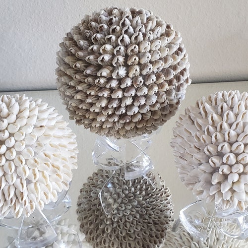 Sea Shell Ball Table Décor Shell Ball Beach Décor Sea | Etsy